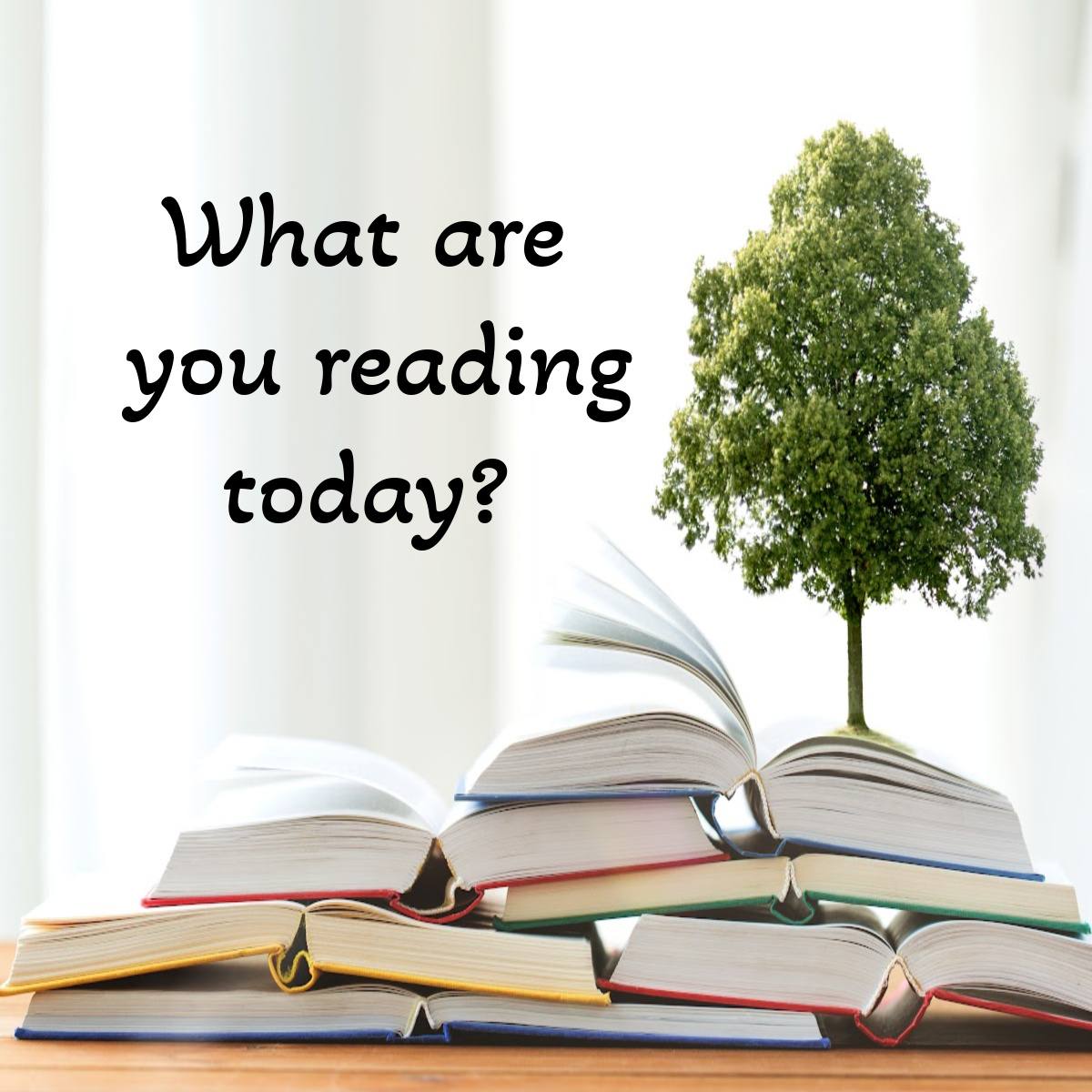 What are you reading? - Marguerite Martin Gray